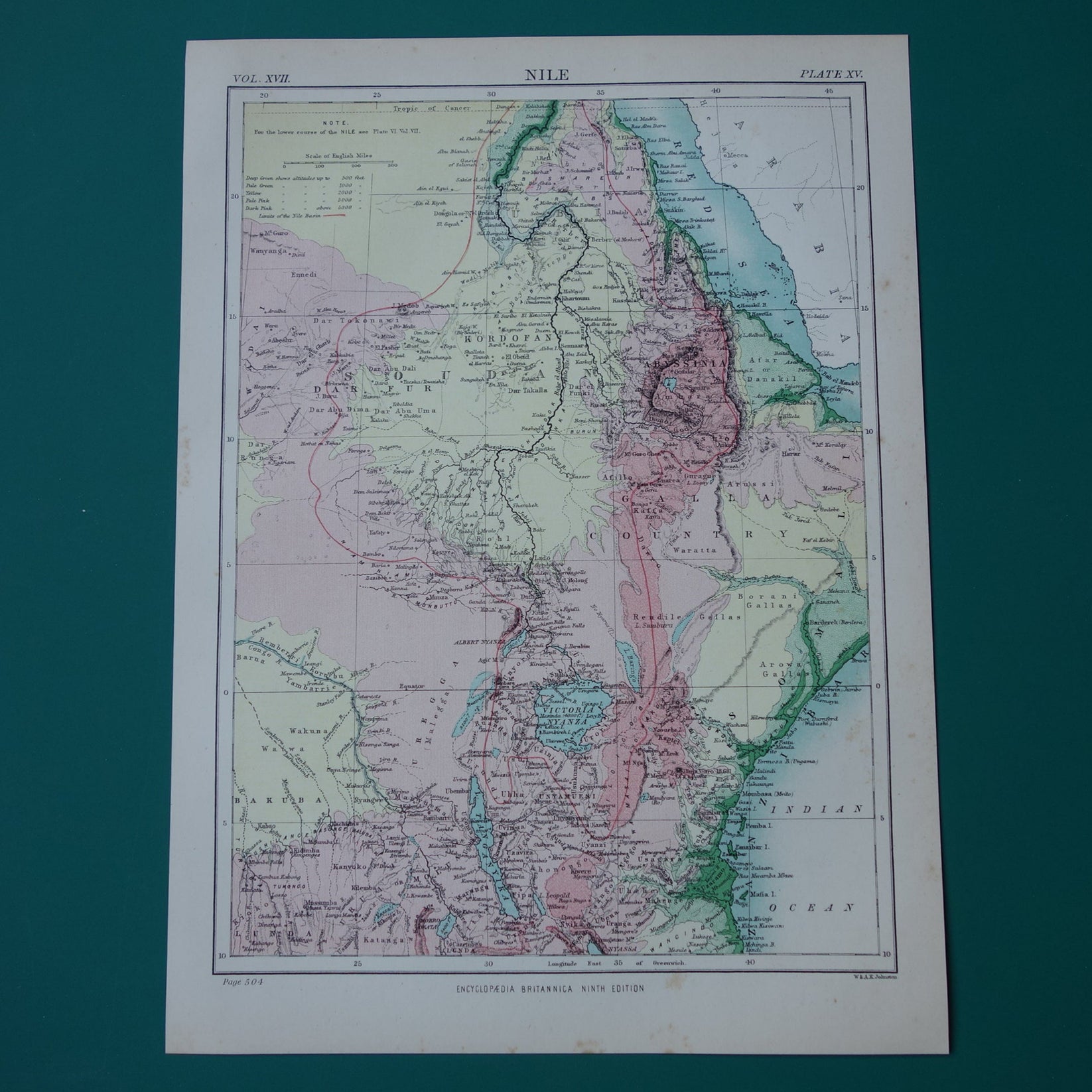 Rivier de Nijl oude kaart van bovenloop Nijl originele antieke Engelse ...